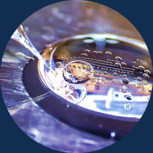 Presentation | CINaM